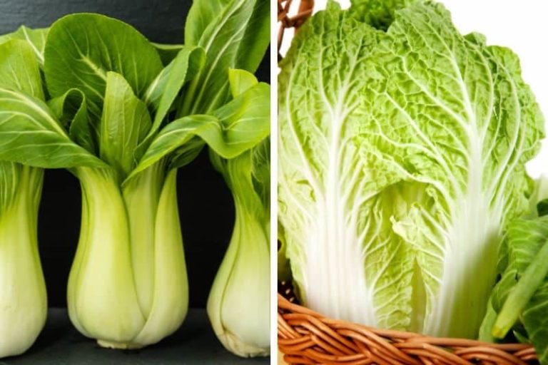 Is Chinese Leaf the Same as Pak Choi?